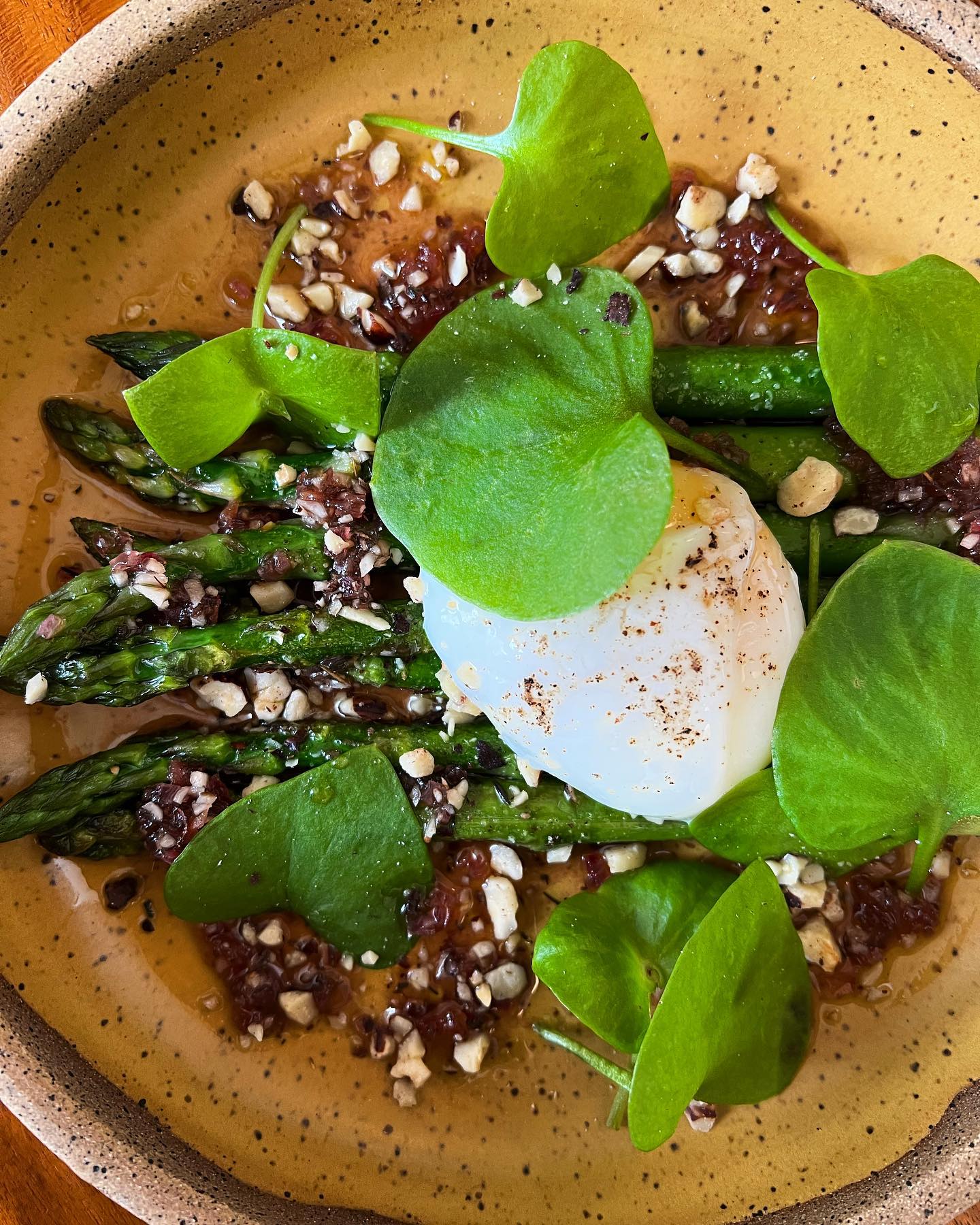 Step into spring 🌱 - Port Townsend Today